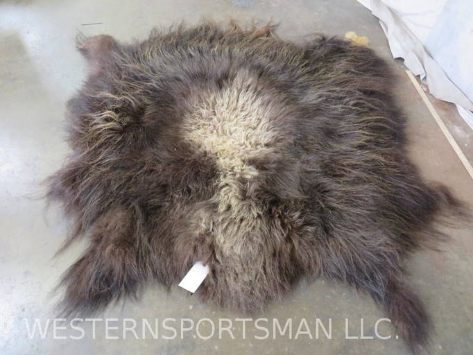 Musk Ox Hide