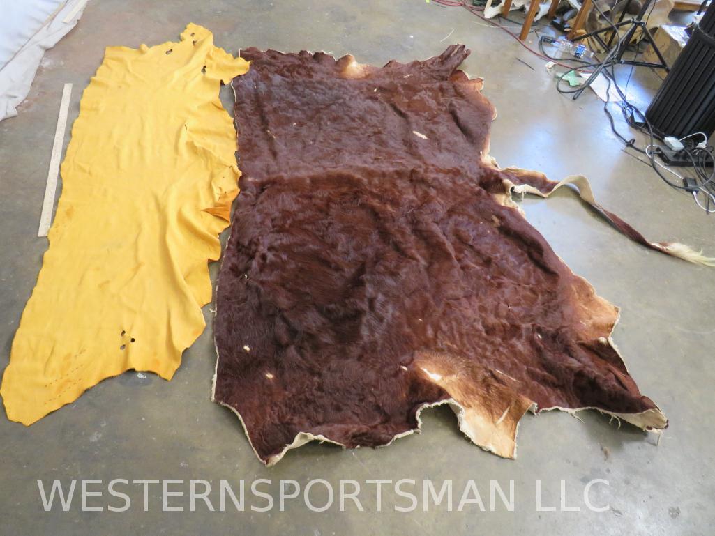 2 Cow Hides (one$) Taxidermy
