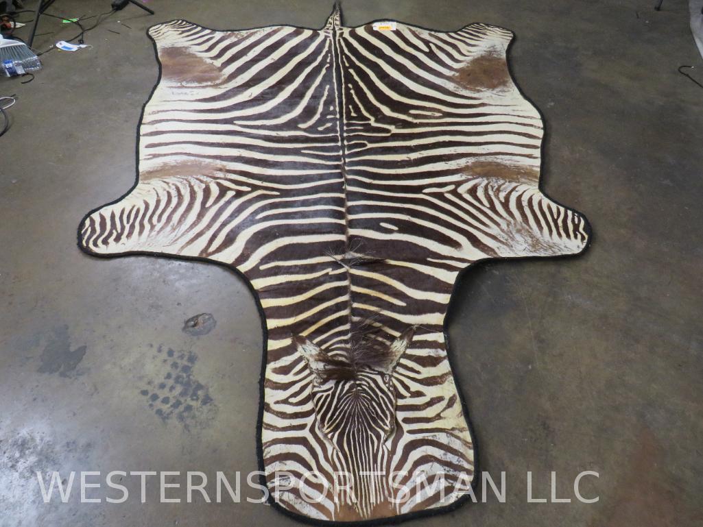Zebra Hide Rug 112"x78" Taxidermy
