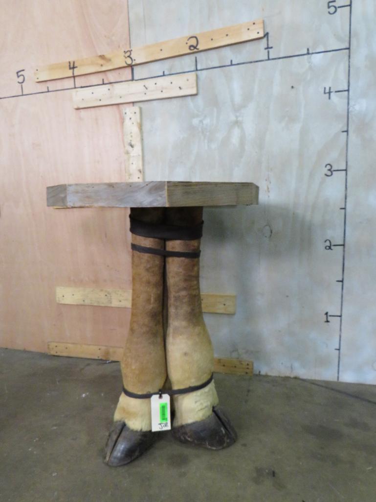 Giraffe Leg Table Taxidermy Auction