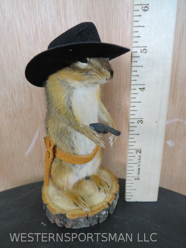 Cowboy Chipmunk, New Taxidermy, 6 Inches Tall, Great Western/texas ...
