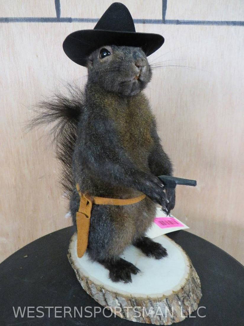 Dark Cowboy Squirrel Taxidermy Auction
