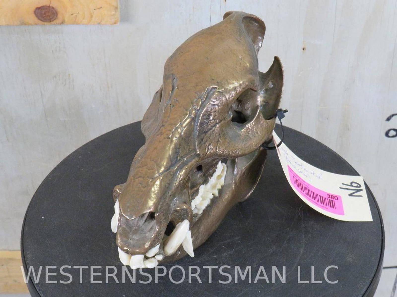 Dipped Javelina Skull (bronze Color) Auction