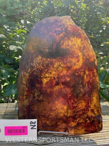 3, Beautiful Amber Encased Butterflies 13 Inches Tall X 9 Inches Wide ...