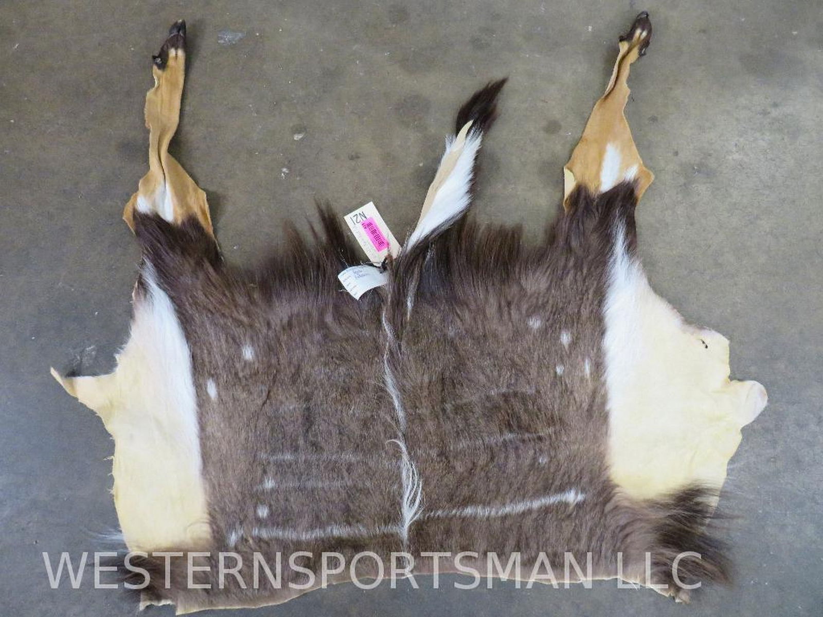 Nice Soft Nyala Back Hide W/hooves Taxidermy Auction
