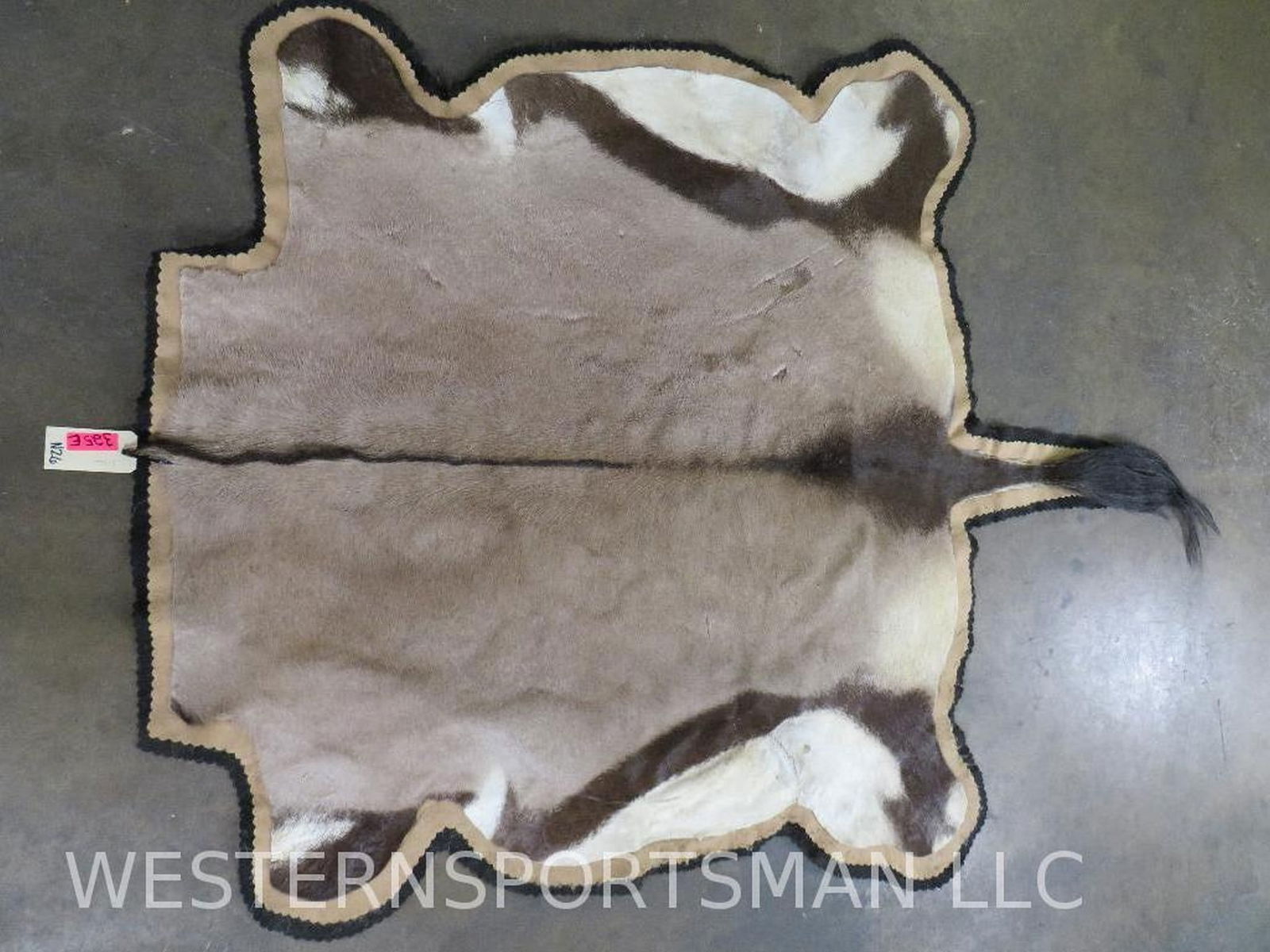 Felted Gemsbok Back Hide 7'lx5'6"w Taxidermy Auction