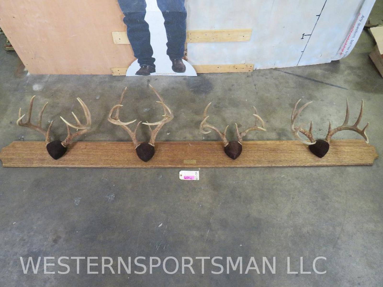 1985 Family Deer Hunt 4 Whitetail Racks On One Plaque 8'l Auction