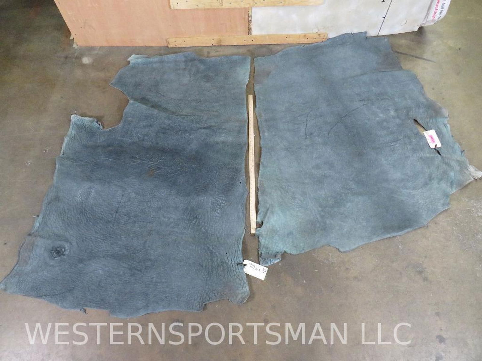 2 Lg Pieces Of African Elephant Hide Soft & Pliable (one$) Taxidermy ...