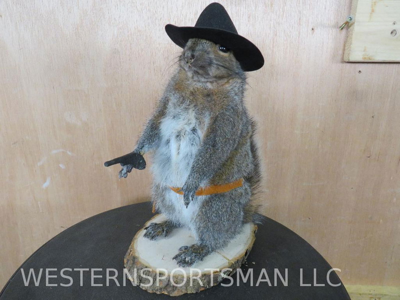 Cowboy Squirrel, With Cow Boy Hat And Pistol Taxidermy Auction