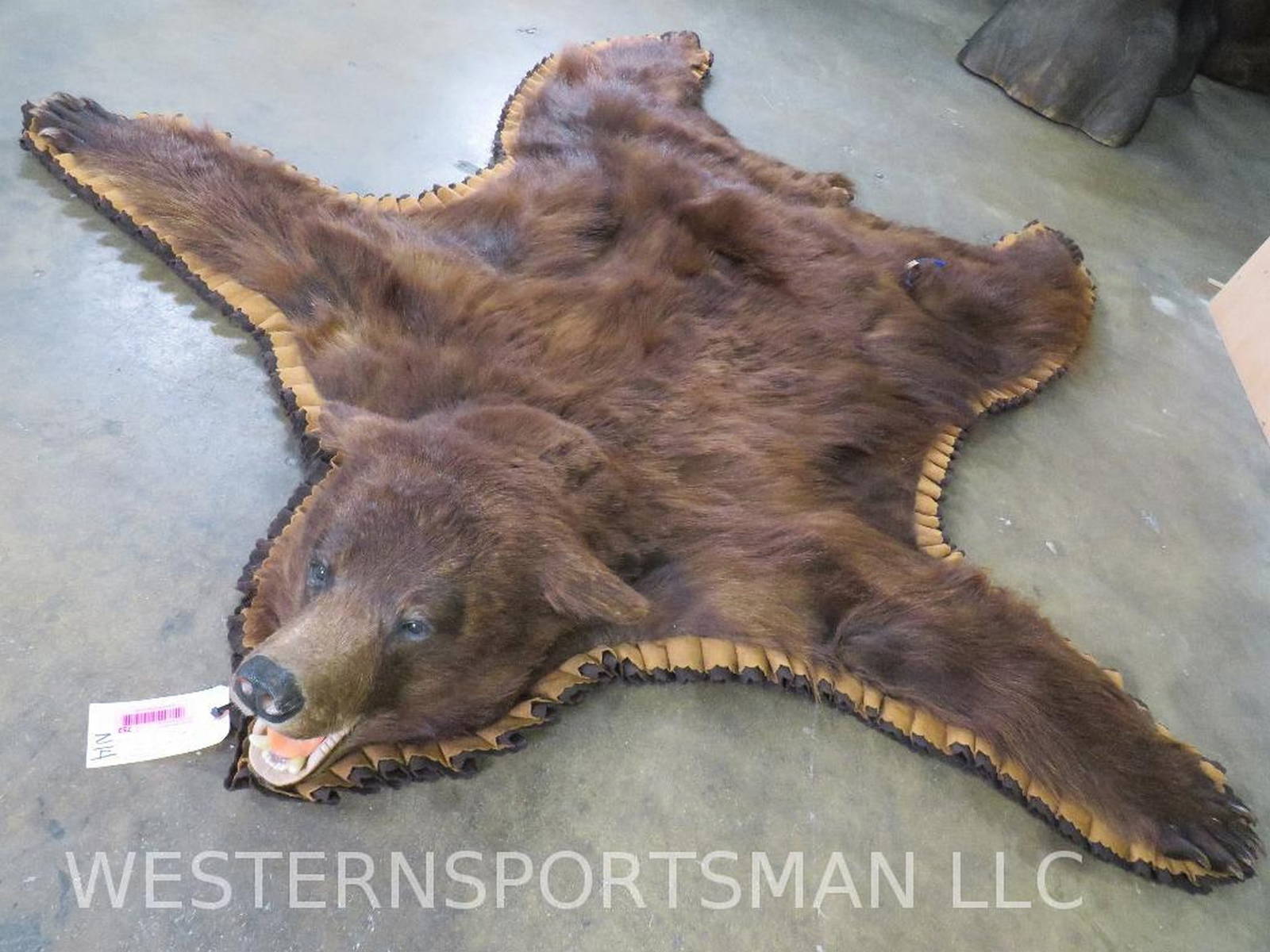 Very Nice Quality Felted Bear Rug W/all Claws & Hanging Loops Taxidermy ...