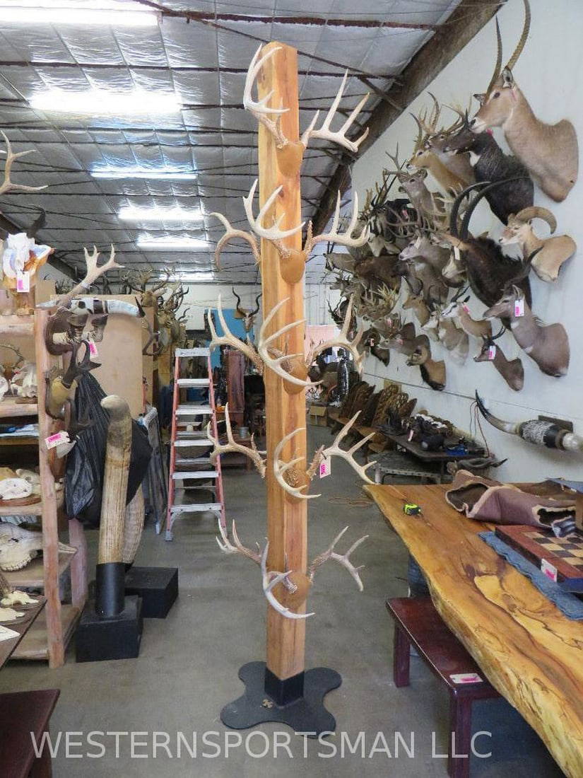 Antler Coat/hat Rack W/9 Racks Taxidermy Auction