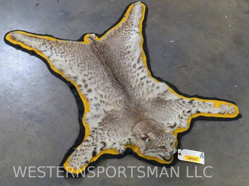 Vinatge Felted Bobcat Rug W/mounted Head Taxidermy Auction