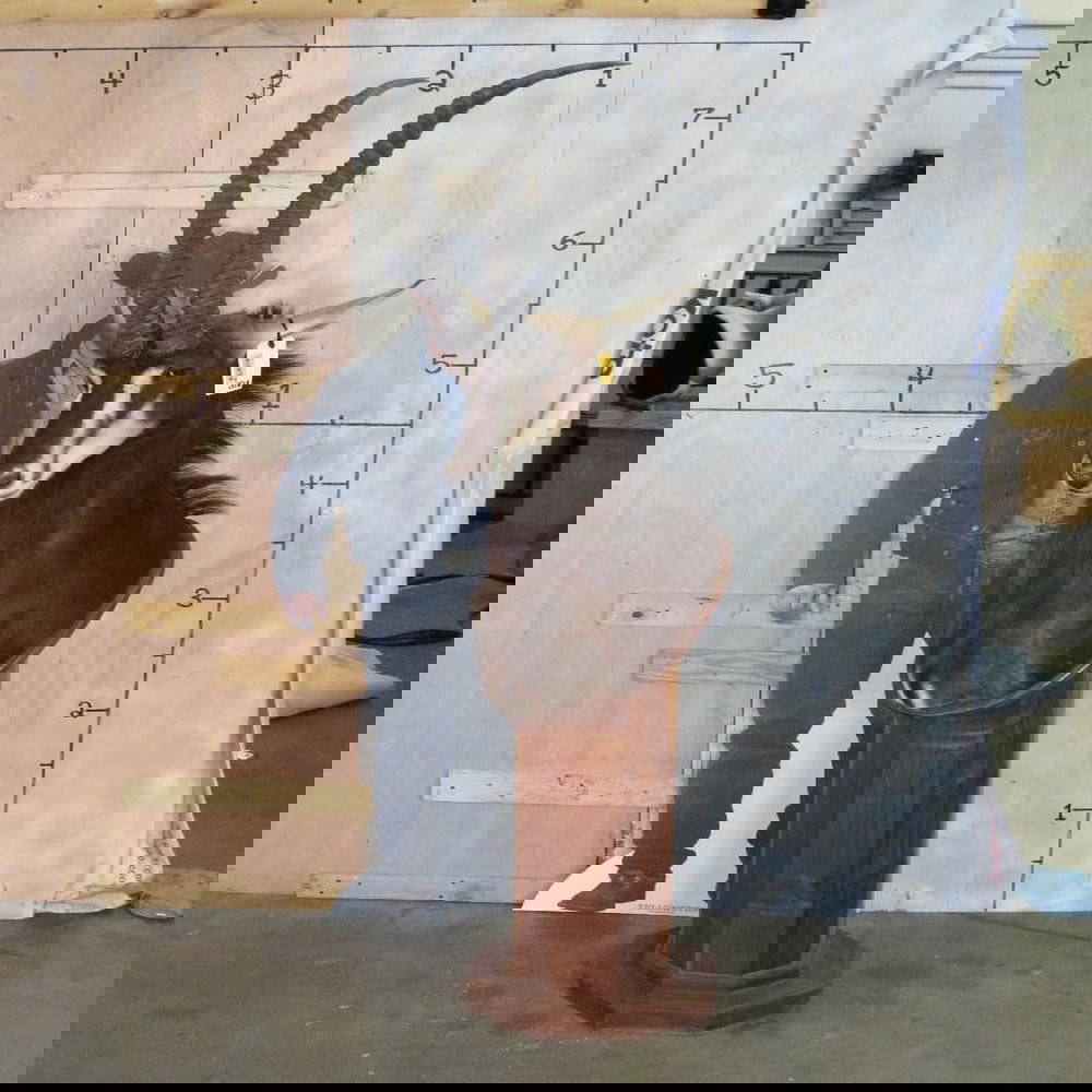 Nice Sable Pedestal Taxidermy Auction