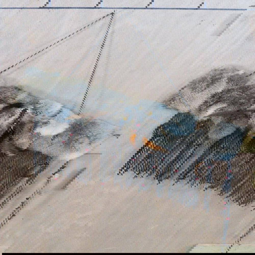 Very Nice Decorative Indian Arrow Quiver Crafted From Leather/furs ...