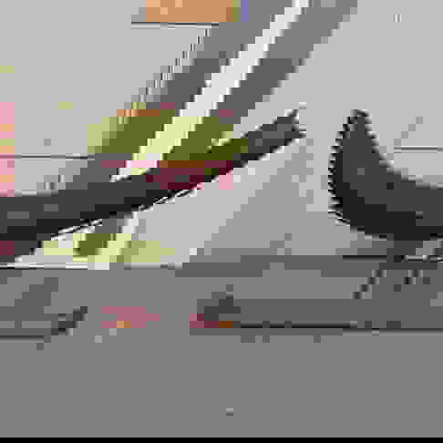 Fossilized Mammoth Tusk W/custom Built Display Stand Taxidermy Auction