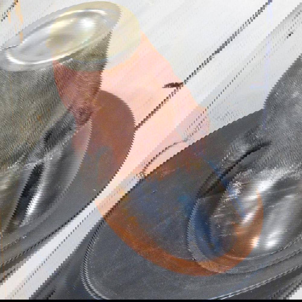 Vintage Elk Hoof Cigar Ash Tray Auction