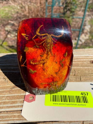 Beautiful Amber Encased Scorpion , 3 3/4 Inches Tall X 3 Inches Wide ...