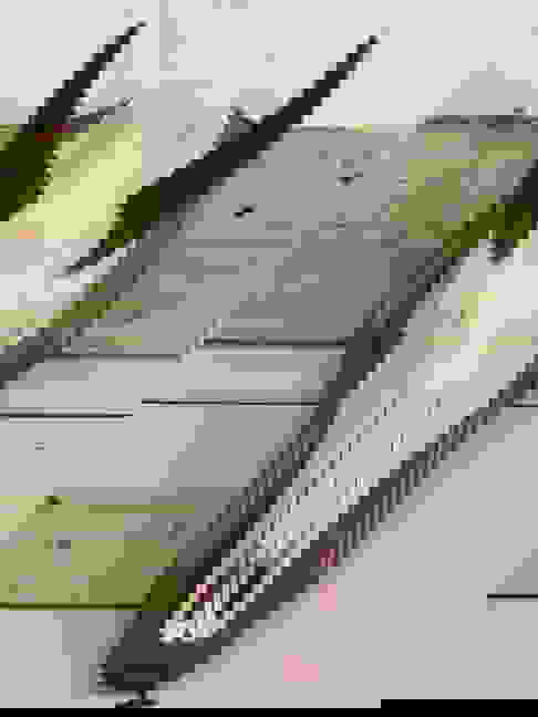 Very Nice Nilgai Skull On Plaque W/all Teeth Taxidermy Auction