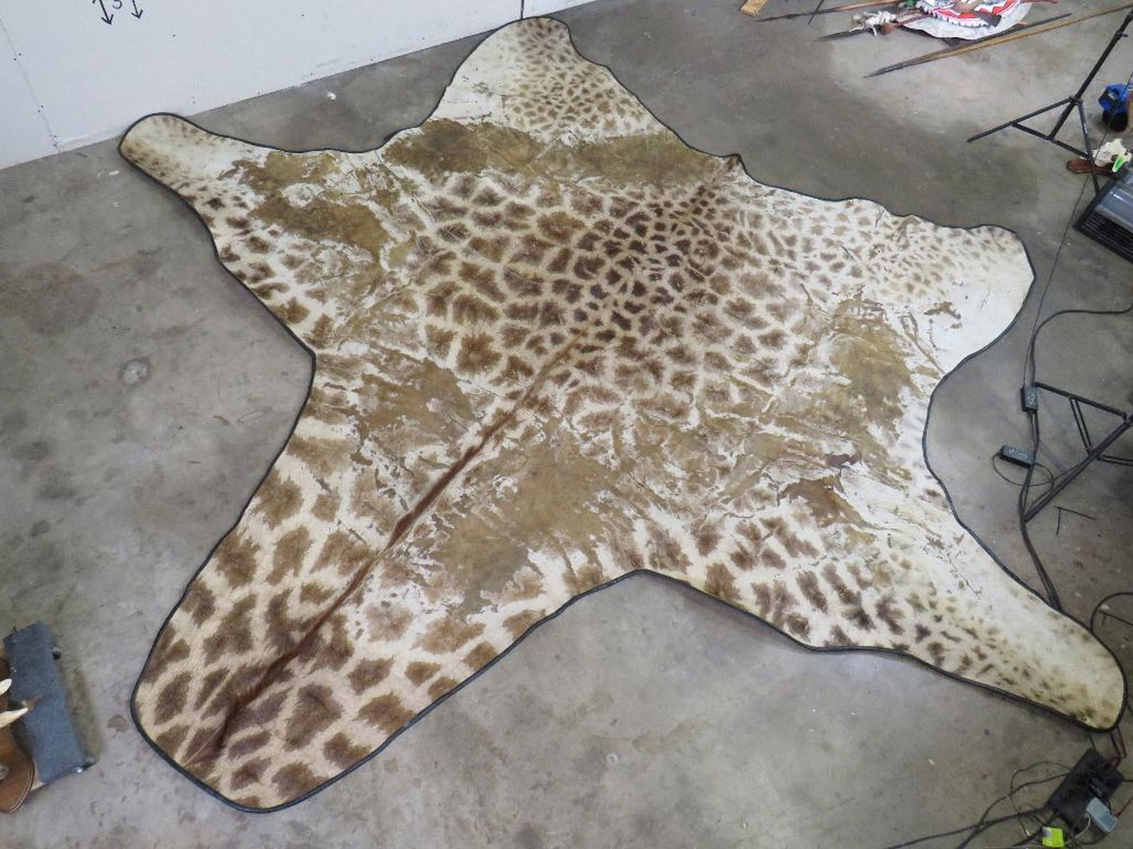 Xxl Giraffe Hide Rug W/carpet Backing & Leather Piping Taxidermy Auction