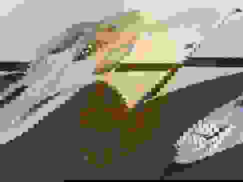 Very Rarely Seen Gelada Baboon (aka Bleeding Heart Monkey) Skull W/all ...