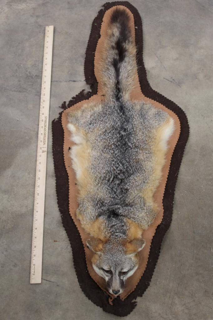 Felted Grey Fox Rug W/mounted Head Taxidermy Auction