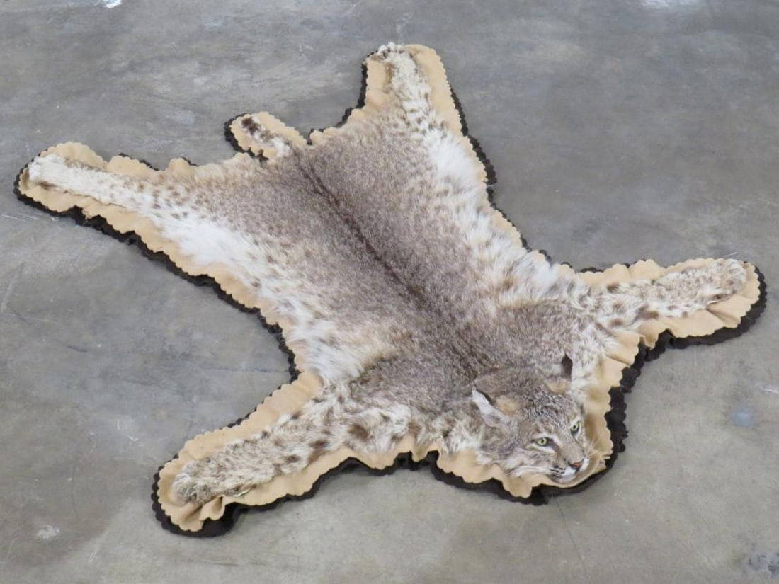 Nice Felted Bobcat Rug W/mounted Head And All Claws Taxidermy Auction
