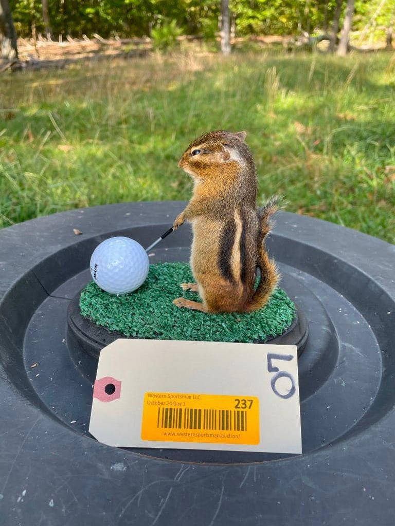 Cute Little Golfing Chipmunk, Complete With Green, Club, And Ball ...