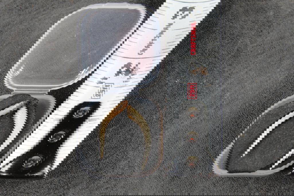 Gaboon Viper Fang Set Auction