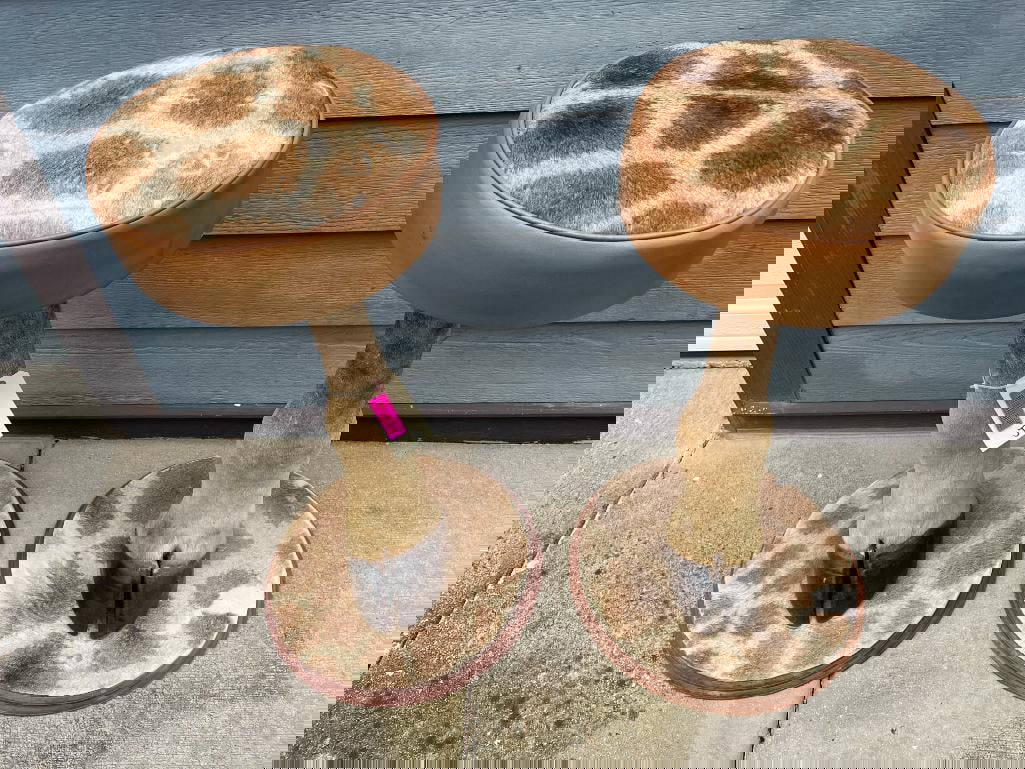 2 Awesome Looking Giraffe Leg And Hide Covered Bar Stools With Swivel ...