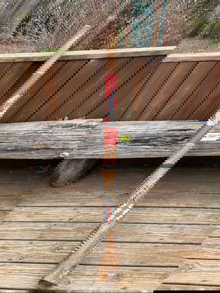 *rarely Seen* Hand Painted Australian Didgeridoo Auction