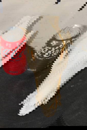 Javelina Skull With All Its Teeth And A Removable Jaw