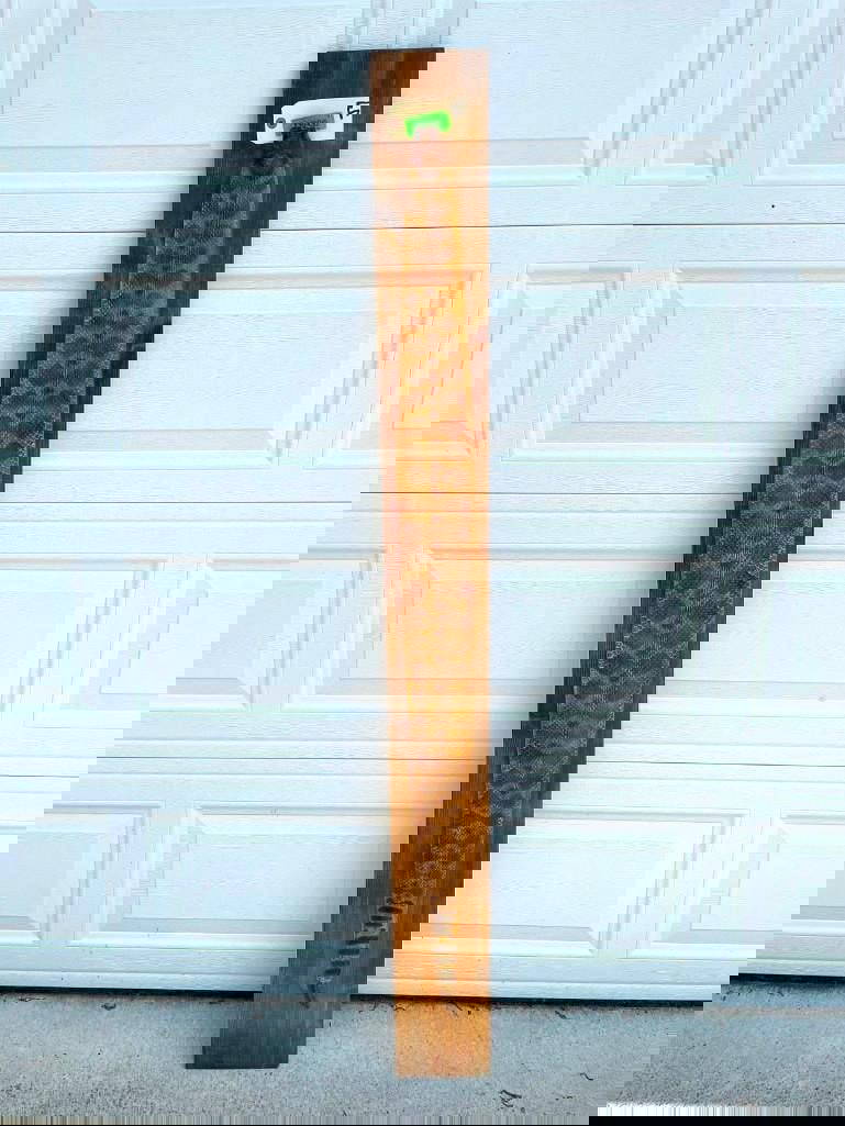 Complete Rattlesnake Skin With Its Rattle Displayed On A Wooden Board ...