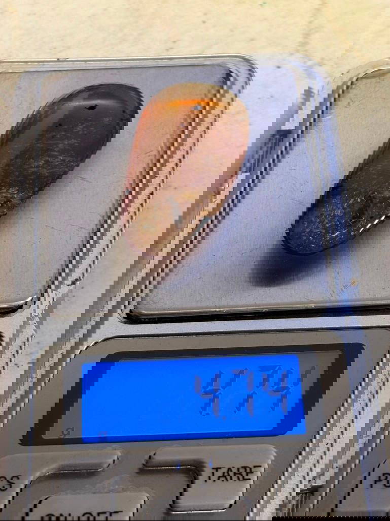 Big 23.65 Ct Amber Myanmar Fossil Resin With Wasp And Mosquito ...