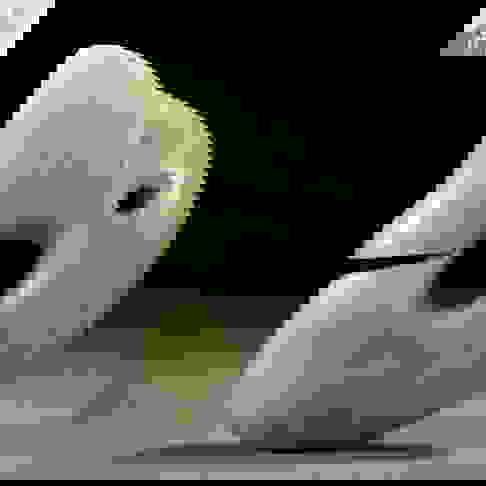 A Jade Pig Dragon Auction