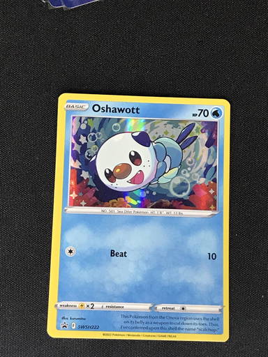 Oshawott Black Star Promo Pokemon Card Dec 04 2022 Crown Collectibles And Grading In Tx