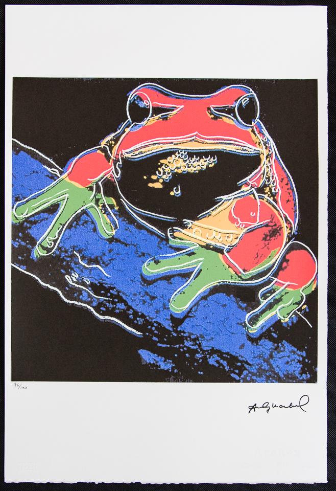 Andy Warhol "pine Barrens Tree Frog"