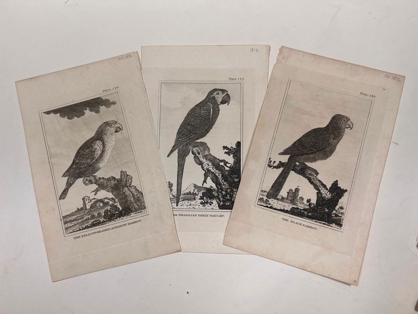 Ornithological Etchings By George Louis Le Clerc, Count De Buffon (1707 ...