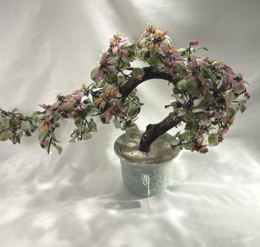 Large Asian Jade Tree Plant Auction