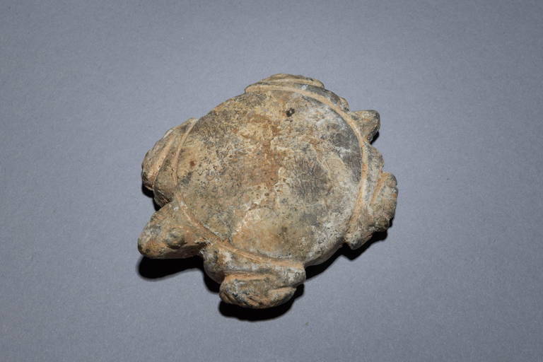 Hongshan neolithic jade turtle - Sep 16, 2022 | Ancient Traces in LONDON