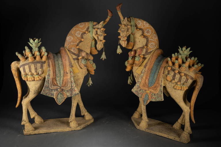 A Pair Of Tang Sancai Horse ,tang Dynasty
