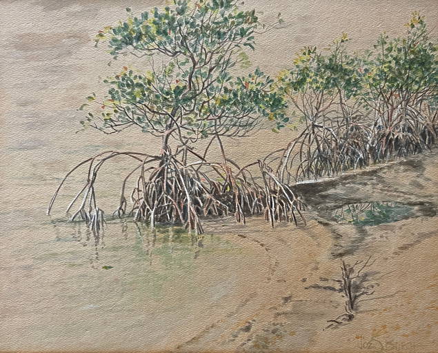 Joseph Story Burch Florida