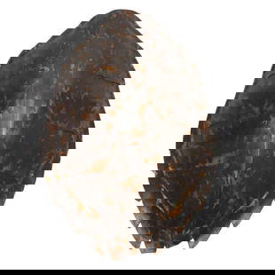 Antique Turtle Shell Fan