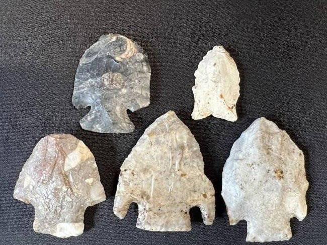 Group of 5 Arrowheads that have Modern re-chipping on them. (#0661) on ...