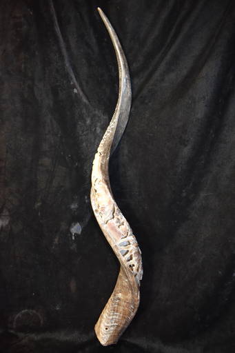 Rare 30" Carved Kudu Antelope Horn. Elephants from Africa - Sep 17 ...