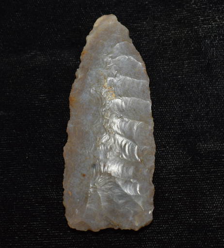 2 11/16" Cody Complex Firstview found in Cottie Co., TX w/ 3 x COA's ...