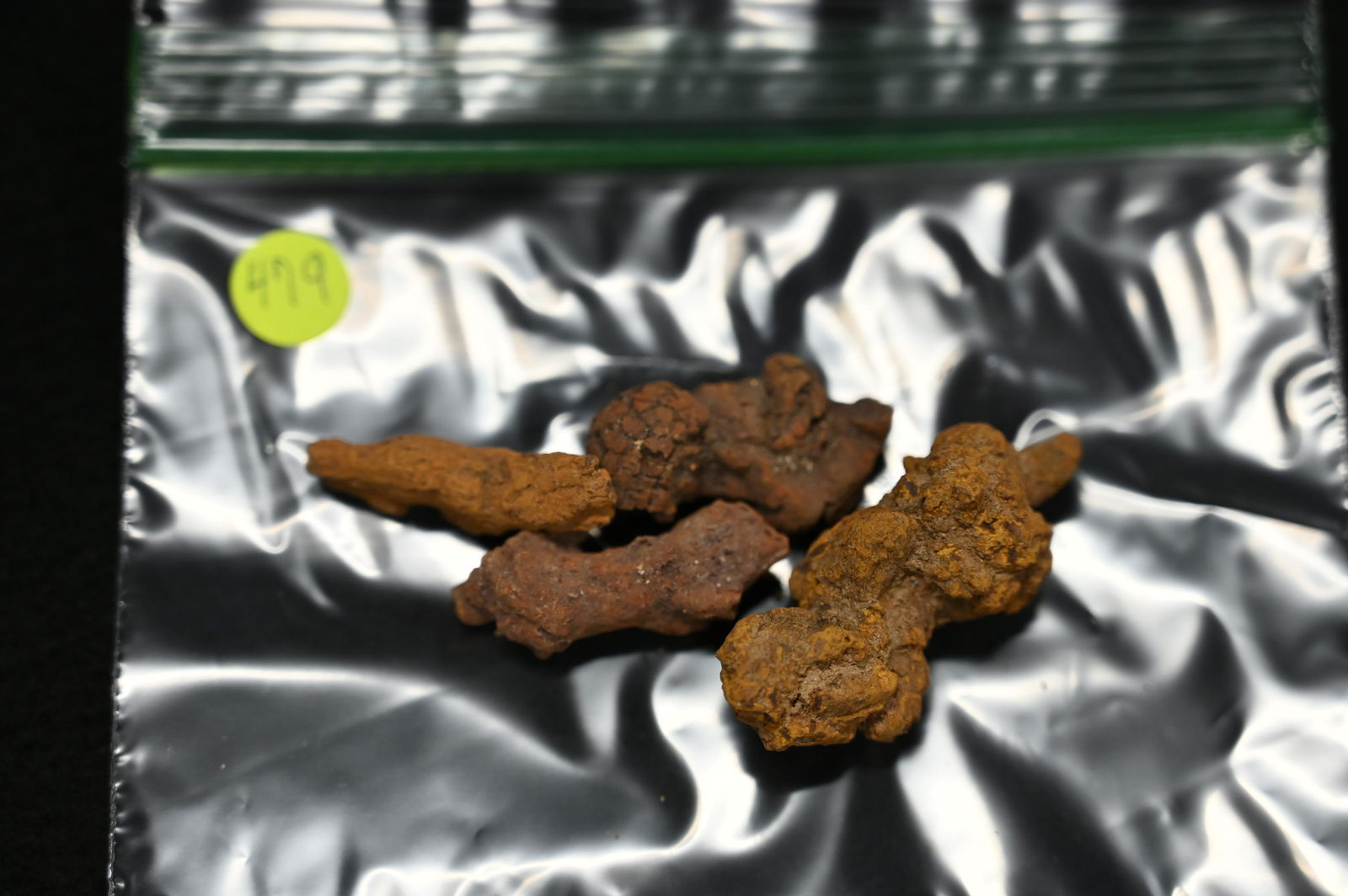 Coprolite Fossilized Dinosaur Poop Approximately 100 Million Years Old.