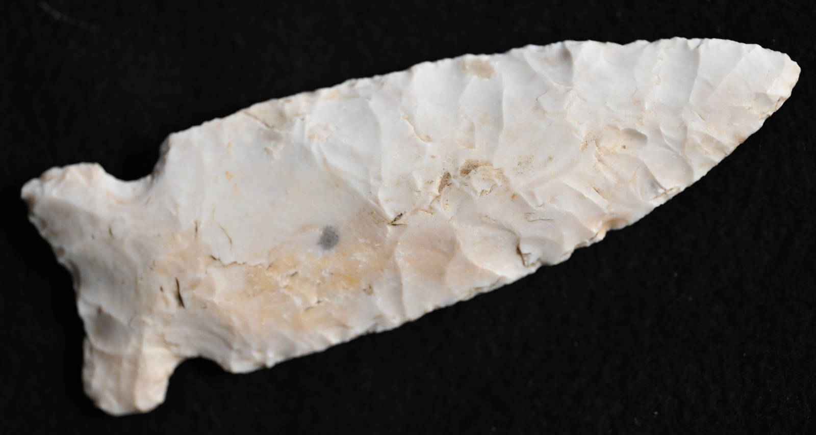 4" Creek Stained Osceola Arrowhead Ryan Keele Coa Ex: Steve Mccabe ...