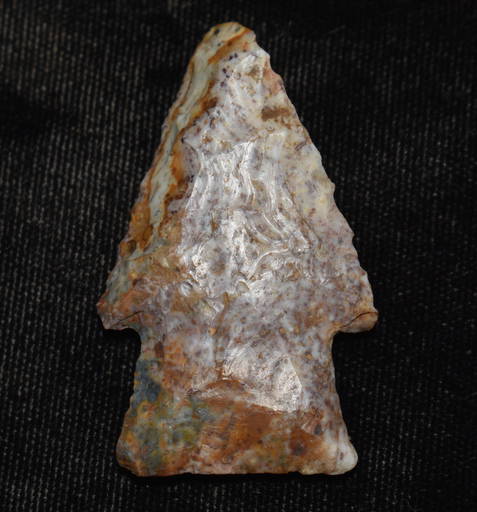 1 15/16" Colorful Hardin Barb Found In Pettis County, Missouri