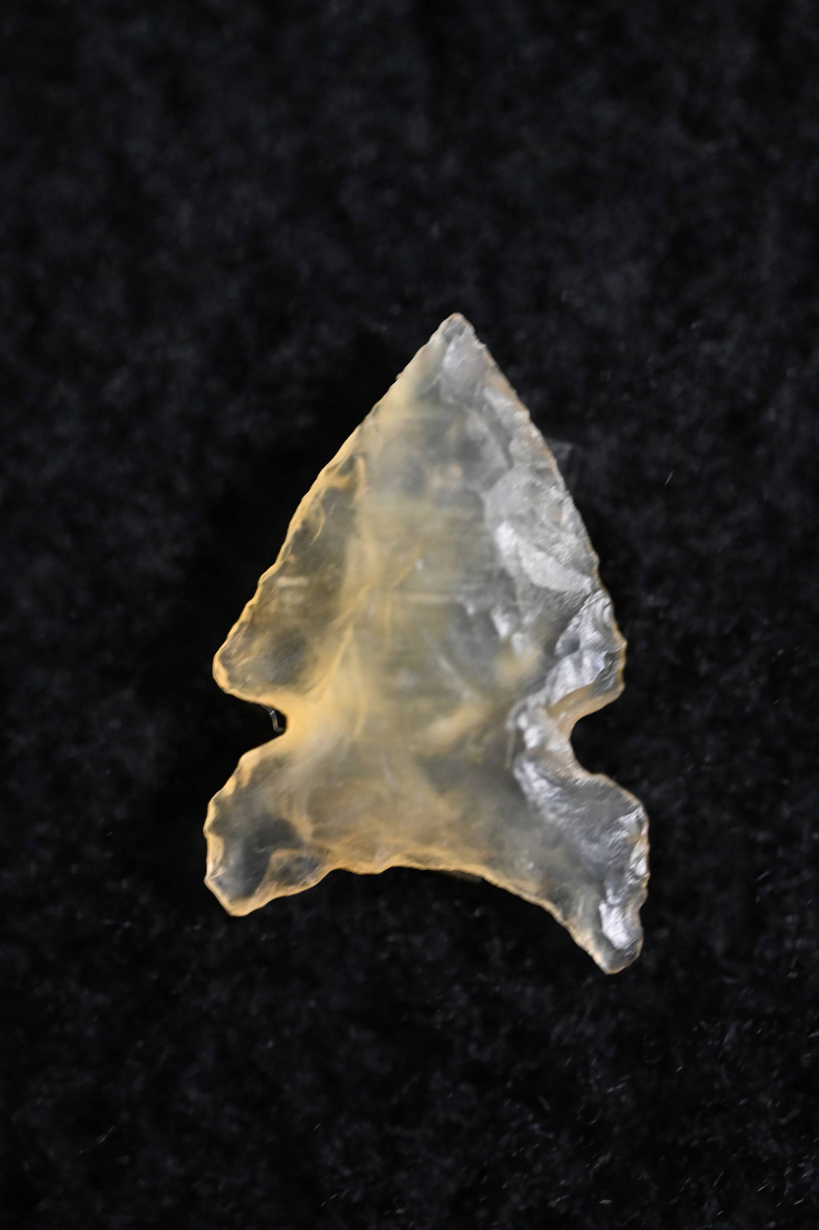 Washita Found In Bent Co. Colorado 3/4" Long And Comes With A Ryan ...