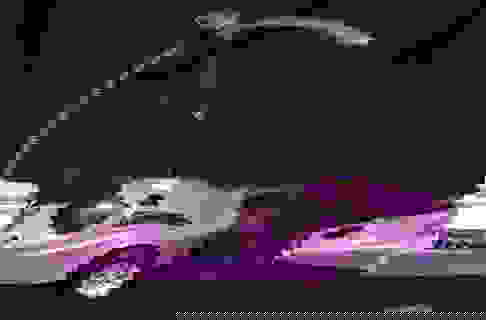 Purple King Cobra Kenner Ssp Rip Cord Dragster Race Car Gyro 1972 Auction